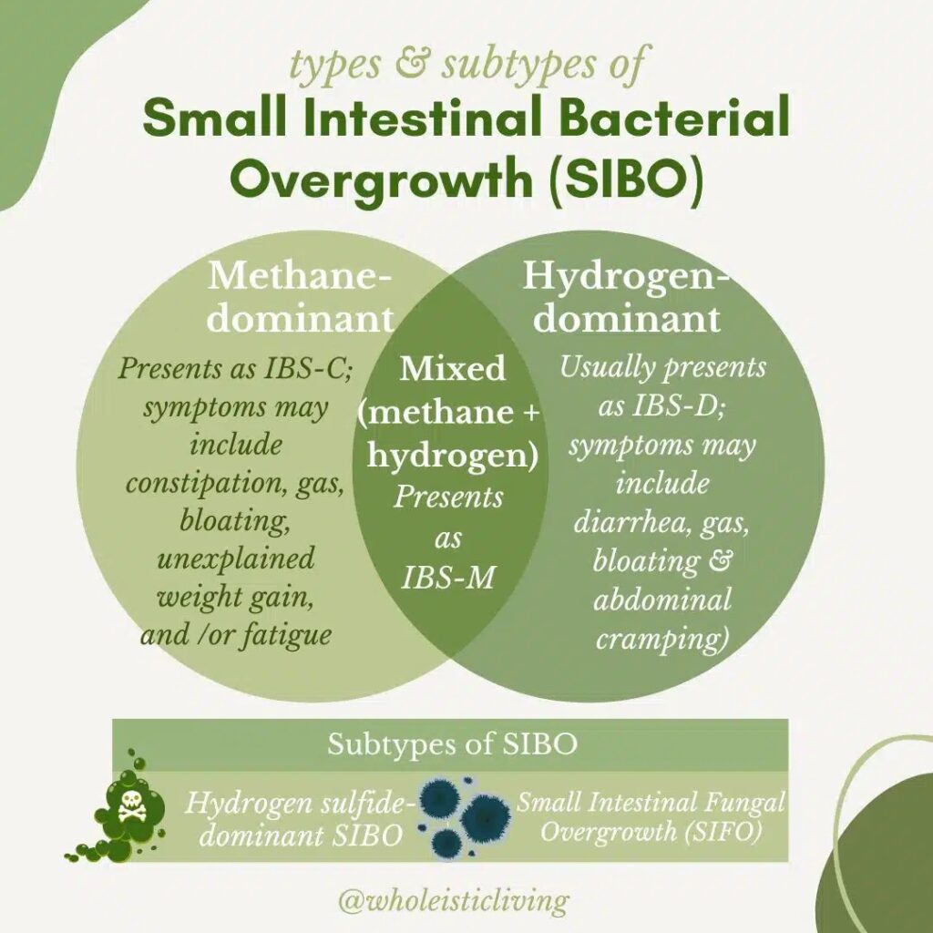 Manage Small Intestinal Bacterial Overgrowth with Low FODMAP Diets ...